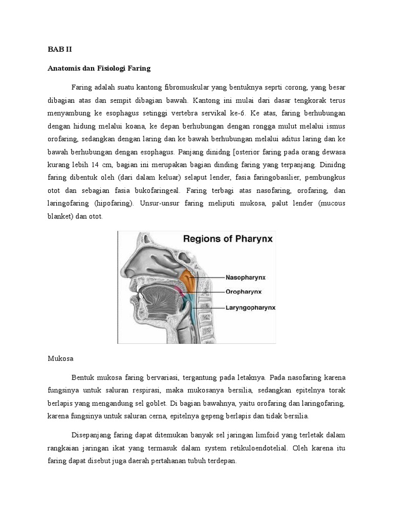 Referat Tonsilofaringitis | PDF