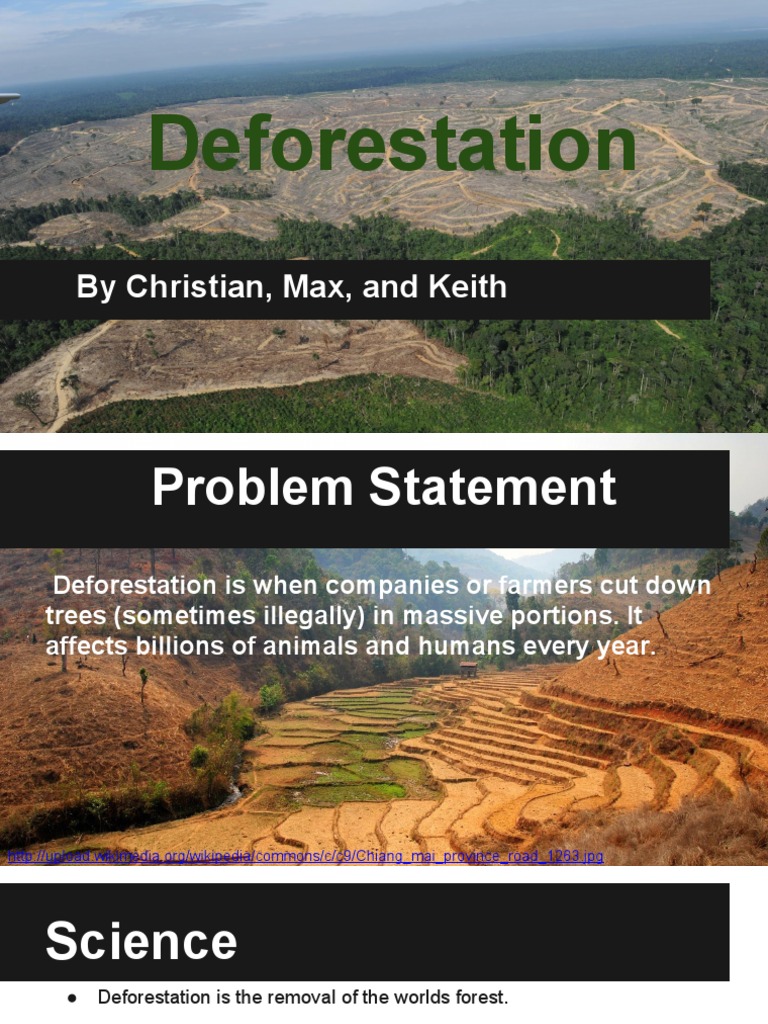 Deforistation | PDF | Deforestation | Global Environmental Issues