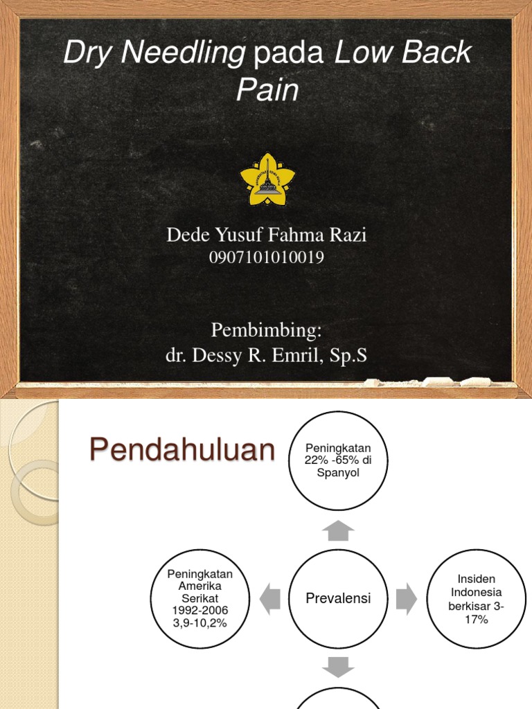 Dry Needling Pada Low Back Pain Pdf