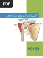 Scapulohumeral Periarthritis | Shoulder | Musculoskeletal System
