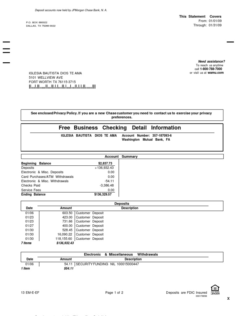January 2009 Chase Bank Statement | PDF | Overdraft | Cheque