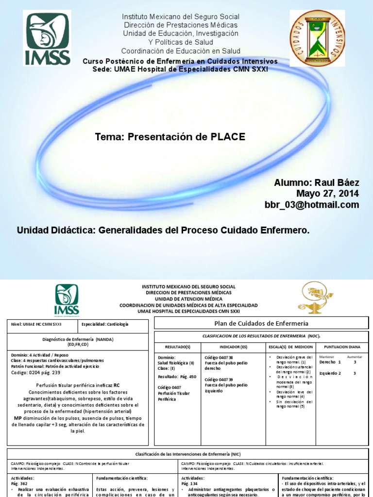 Formatos PLACE IMSS | PDF | Enfermería | Ciencias de la vida