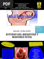 Clasificacion de Grannum | PDF | Placenta | Parto