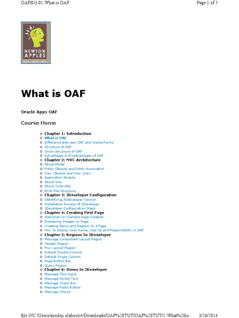 1-What Is OAF | PDF | Computer Engineering | Computing