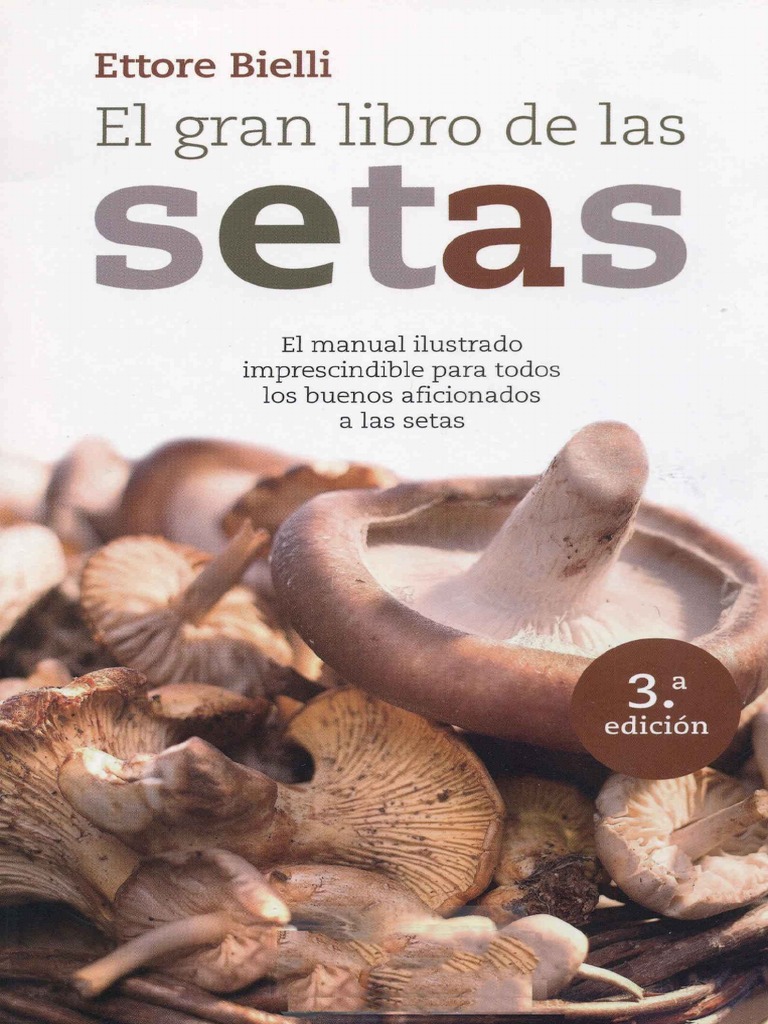 Guia de Las Setas. | PDF