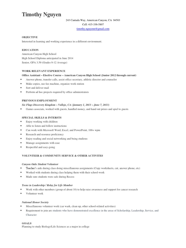 Timothy Nguyen's Resume Summary | PDF