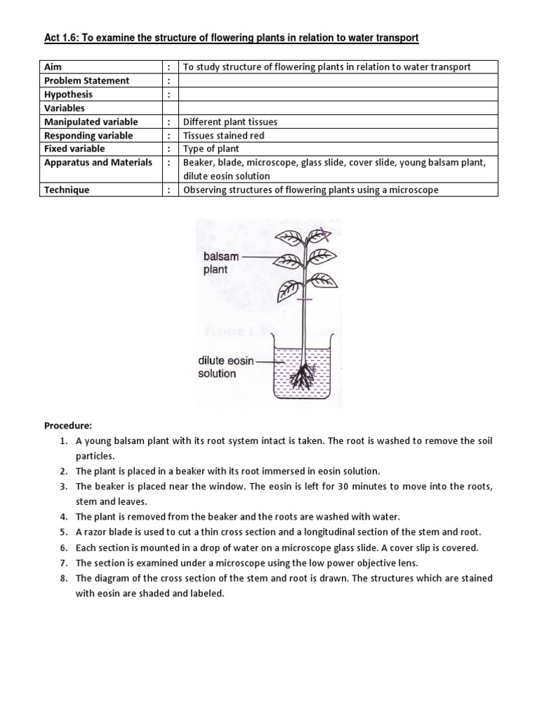 Form 5 Biology Peka | PDF | Staining | Plants