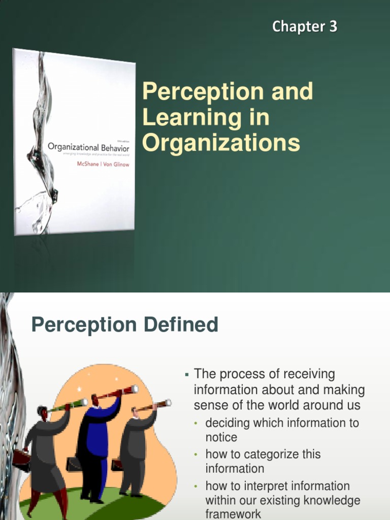 Organizational Behavior Chapter 3 | PDF | Perception | Stereotypes