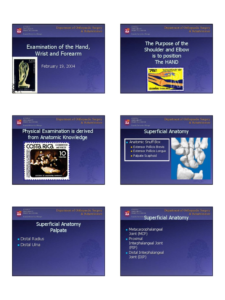 Wrist and Hand Examination Guide | PDF