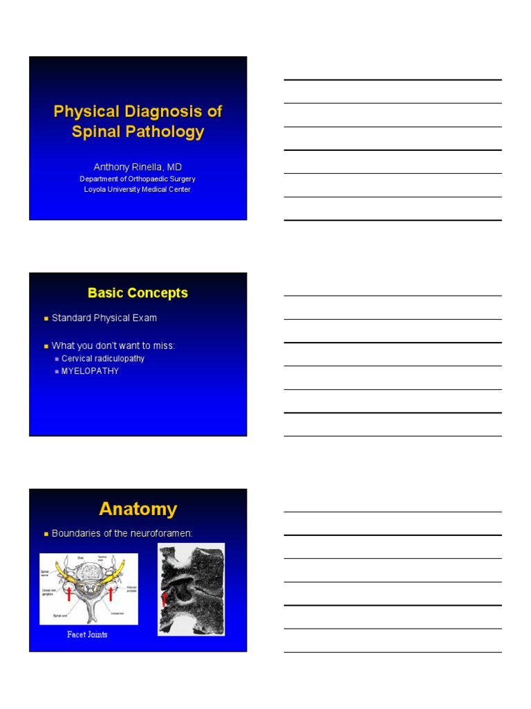 Spinal Path | PDF | Physical Examination | Test (Assessment)