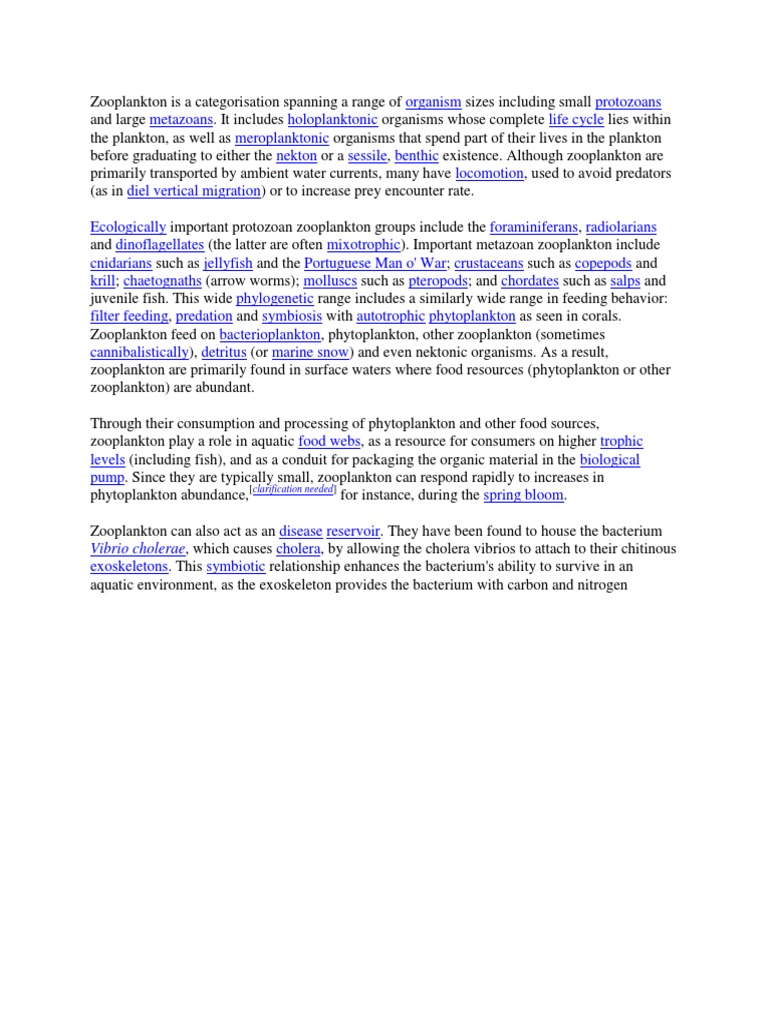 An In-Depth Look at Zooplankton: Their Diverse Roles in Aquatic ...