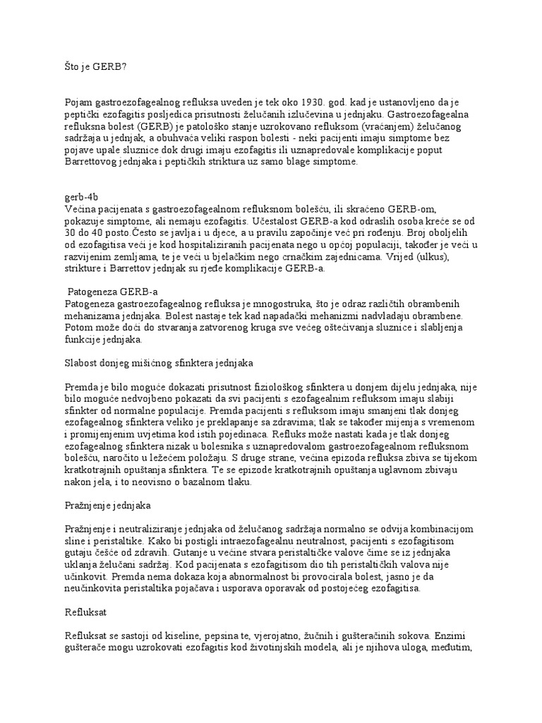 Što Je GERB | PDF