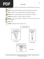 Manual de Usuario SISCORE-WEB 1.1 | PDF | Usuario (informática ...