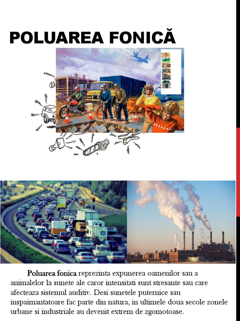 Poluarea Fonică | PDF