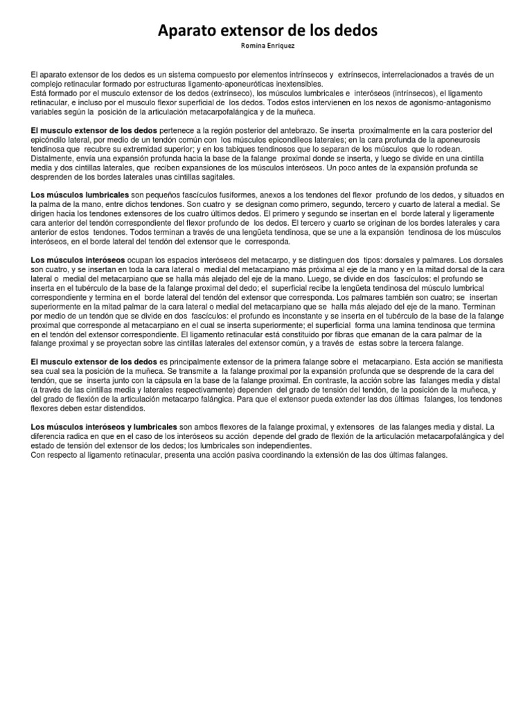 Aparato Extensor de Los Dedos | PDF | Mano | Anatomía humana