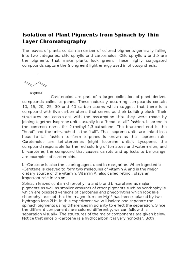 Isolation of Plant Pigments From Spinach by Thin Layer Chromatography ...