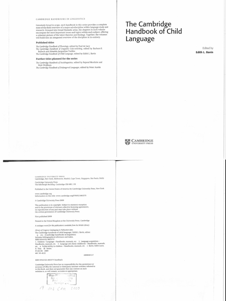 Usage Based Theory of Language Acquisition PDF | PDF