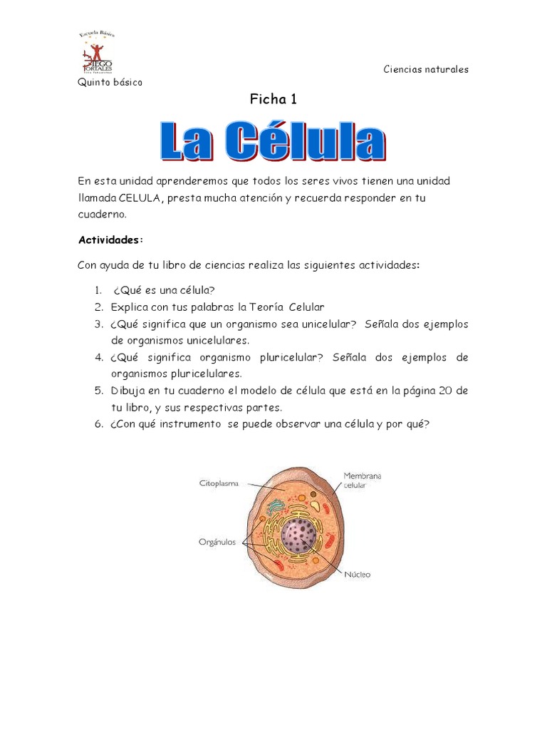 Guia de Celula Repaso 5 Basico | Organismos | Biología Celular)