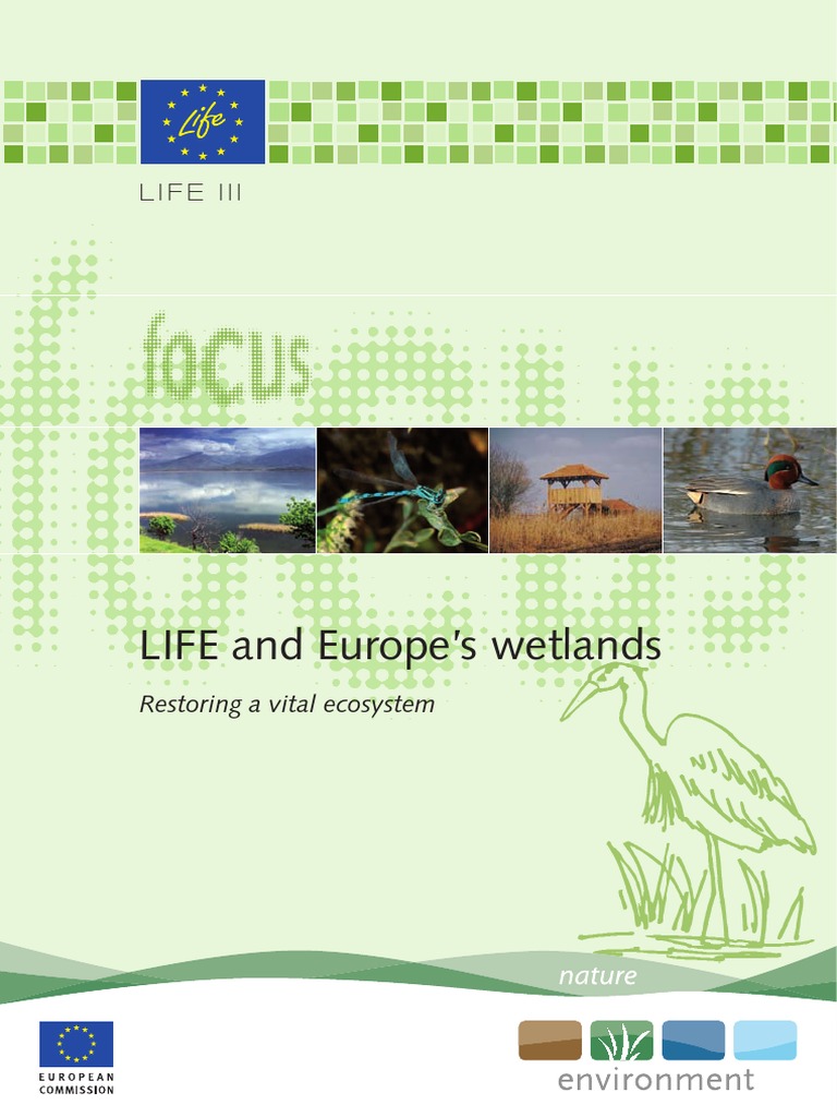 Wetlands | PDF | Wetland | Peat