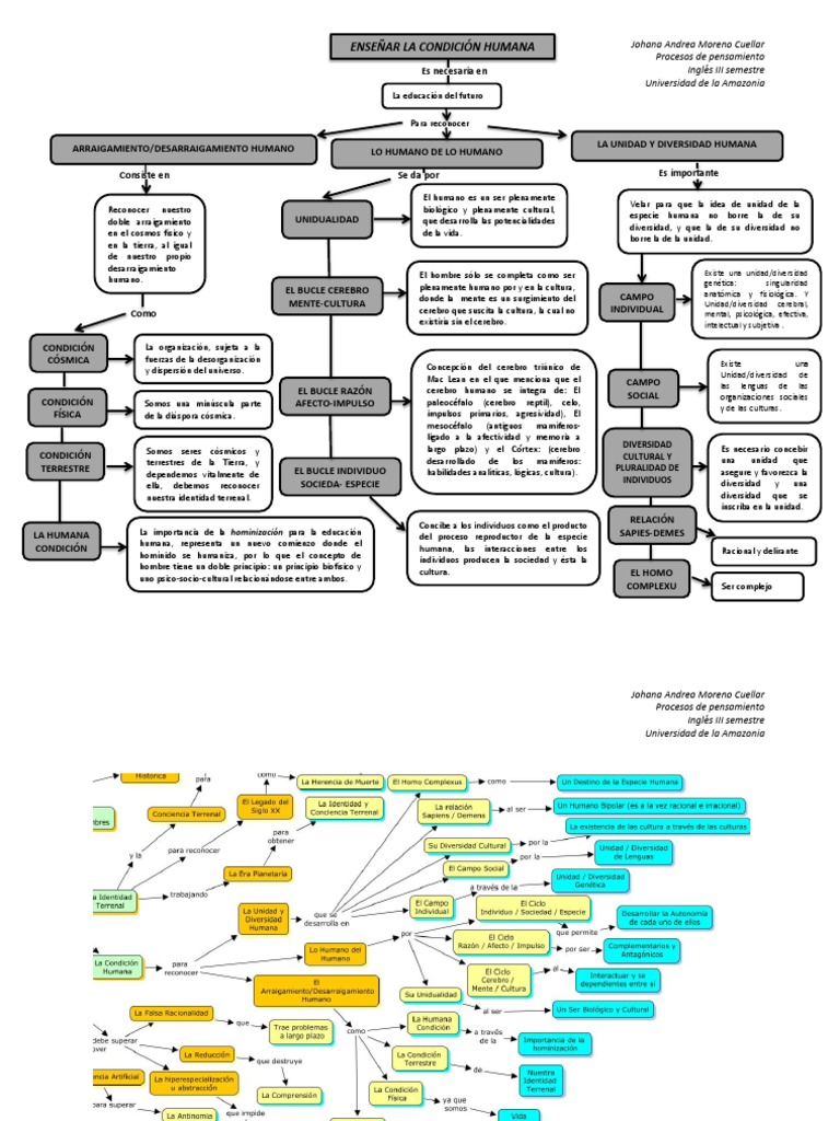Mapa Conceptual Cap3 Enseñar La Condicion Humana | PDF | Homo Sapiens | Cerebro