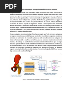 Teoría de La Matriz Funcional de Melvin Moss | PDF | Cráneo | Epigenética