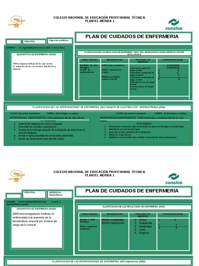 formato de PAE 2.doc | Enfermería | Cuidado de la salud