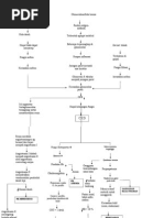 Pathway CKD Sdki | PDF