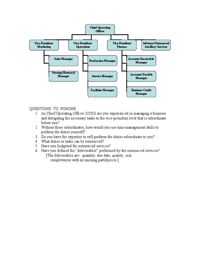 Organization Chart For COO | PDF