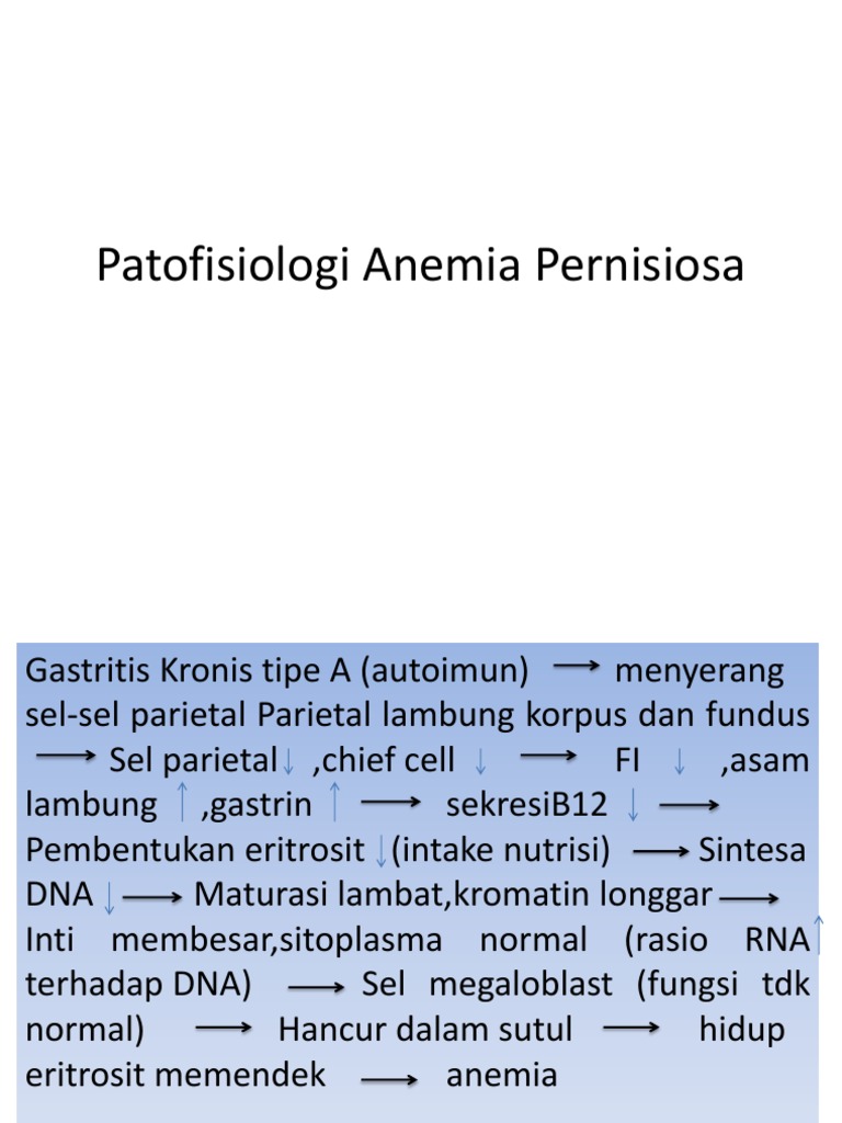 Patofisiologi Anemia Pernisiosa | PDF