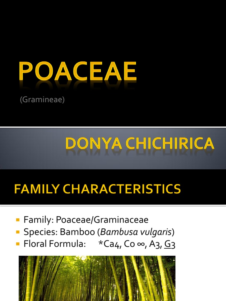 Poaceae Family Floral Characteristics | PDF | Horticulture And ...