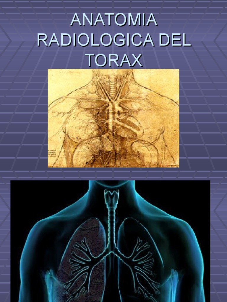 Anatomia radiologica del torax
