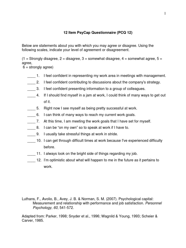 PsyCap Questionnaire | PDF | Optimism | Action (Philosophy)