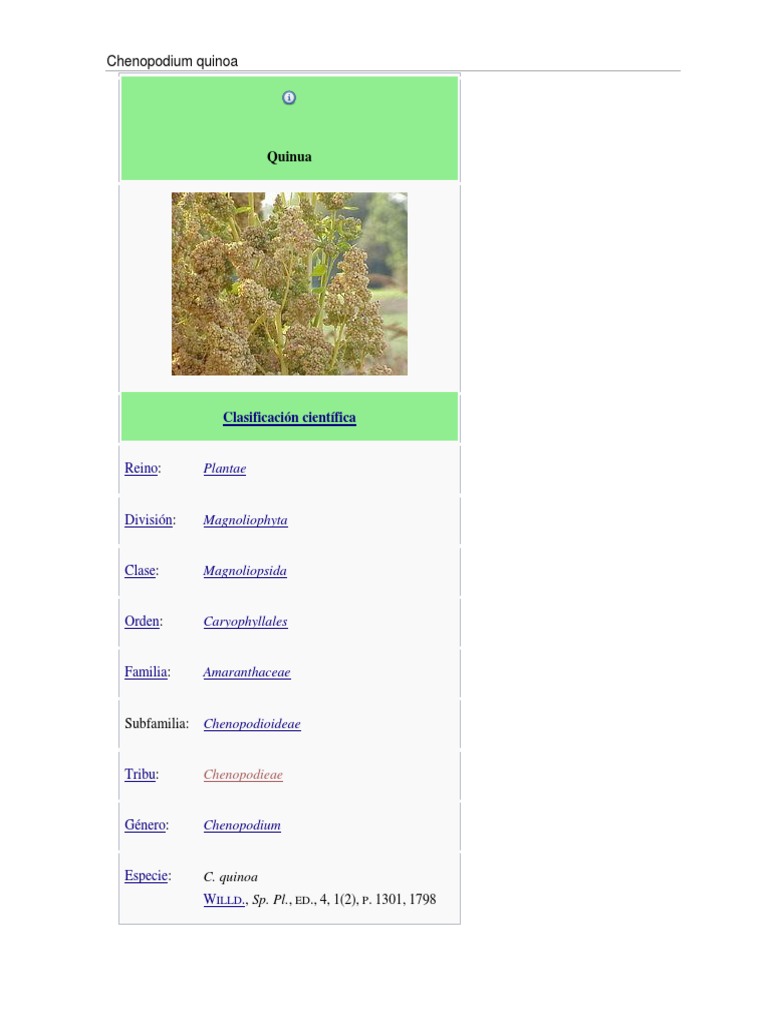 La Quinua | PDF | Quinua | Comida y bebida