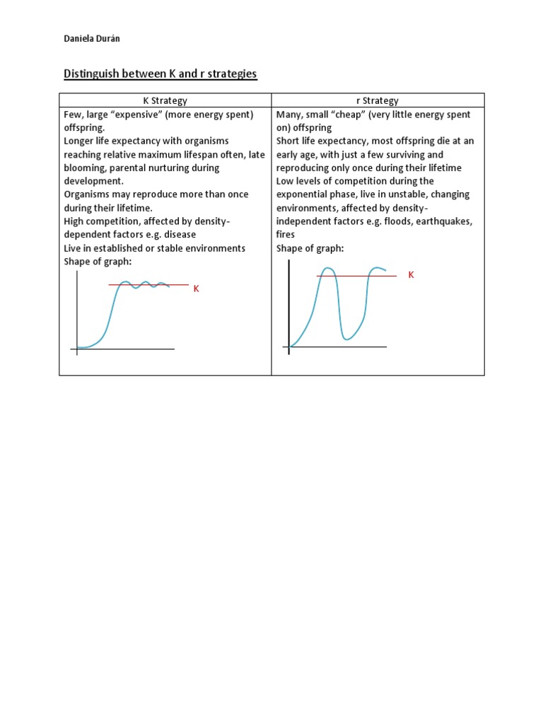 Distinguish Between K and R Strategies | PDF