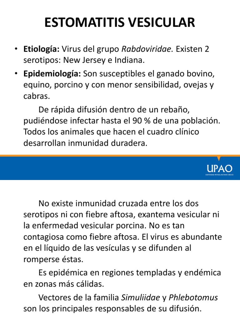 Estomatitis Vesicular | PDF | Especialidades Medicas | Enfermedades y ...