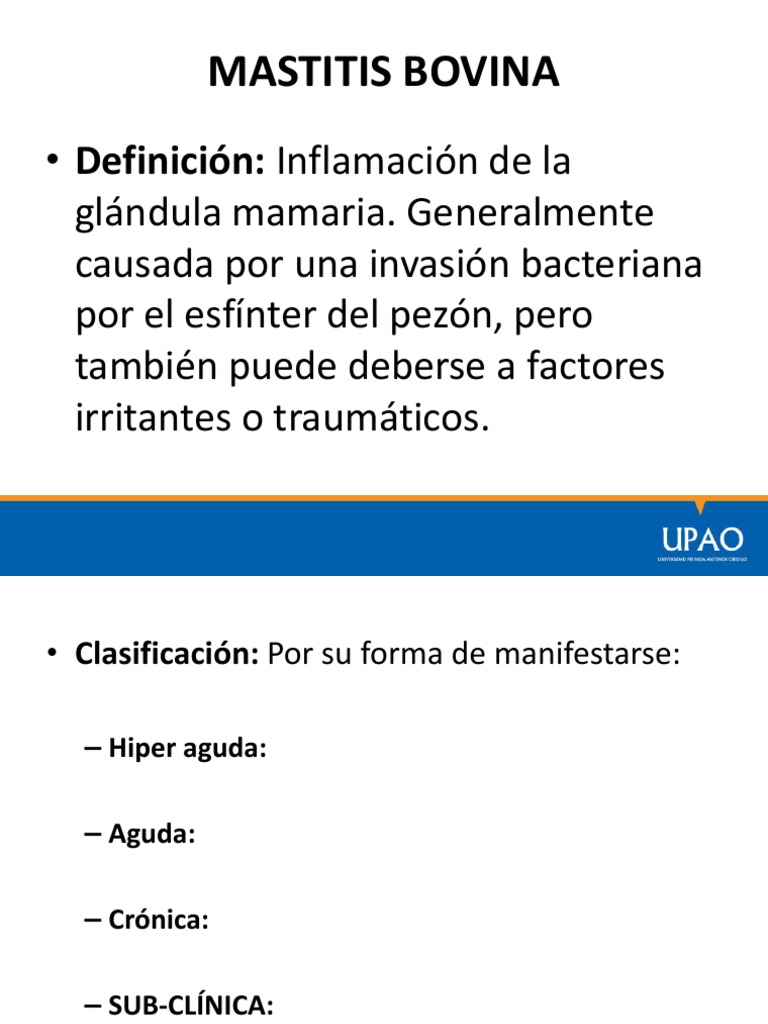 Mastitis Bovina | PDF | Vacas | Infección