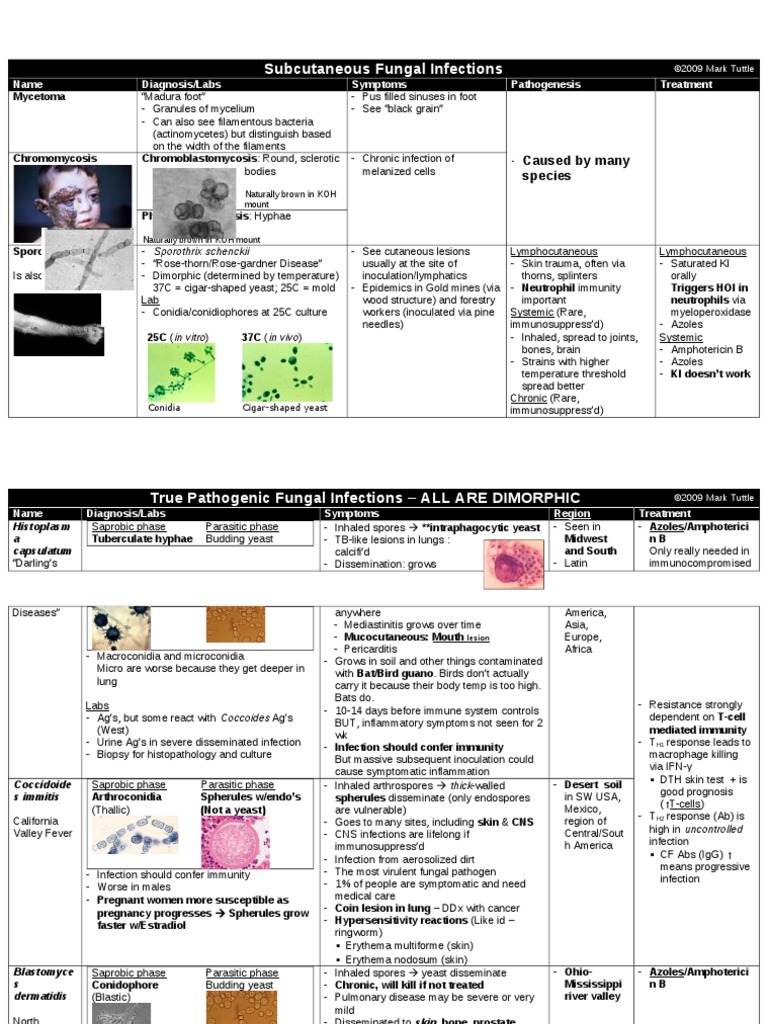 Subcutaneous Infections and True Pathogens | PDF | Microbiology ...