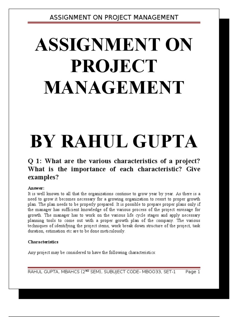 Assignment On Project Management | PDF | Project Management | Business