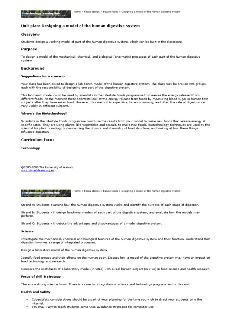 Designing A Model of The Human Digestive System | PDF ...