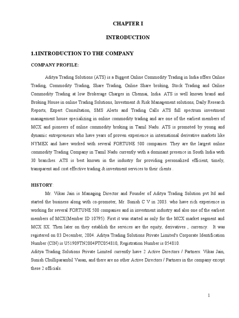 My Project Final | PDF | Futures Contract | Business