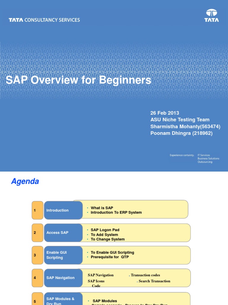 SAP Overview For Beginners 1.0 | PDF