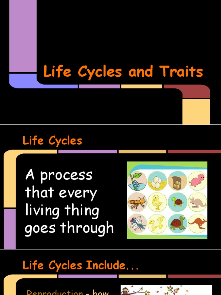 Powerpoint Part 1 | PDF
