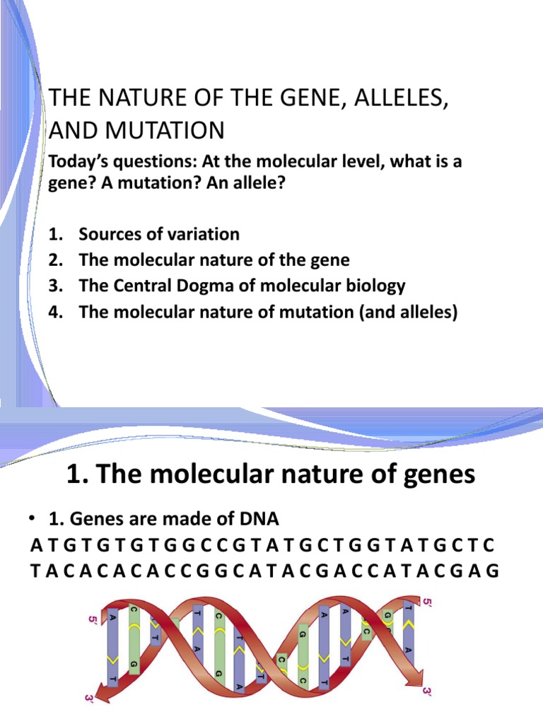 08 Genes and Mutation | PDF | Gene | Mutation