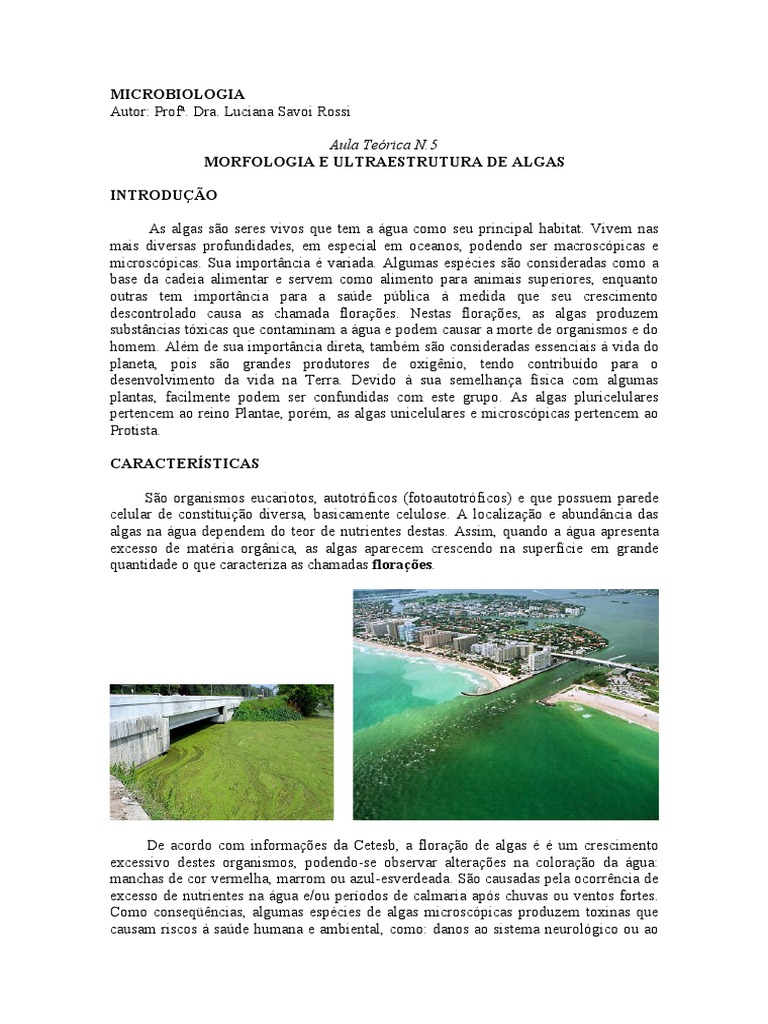 Microbiologia - Algas | PDF | Algas | Plantas