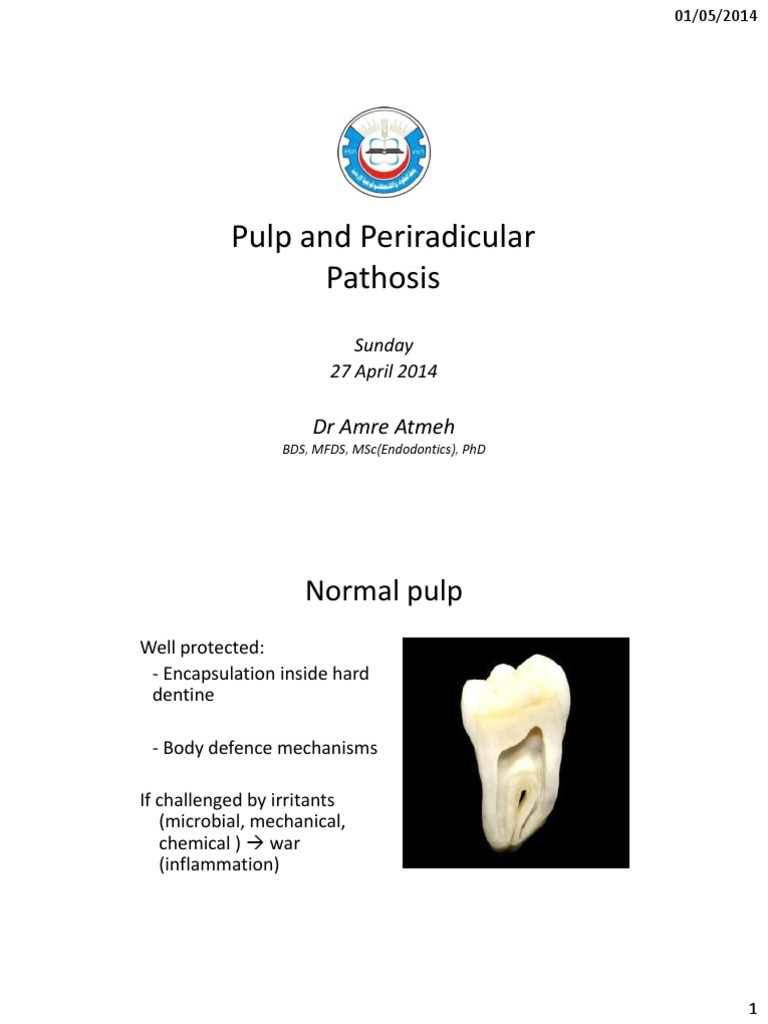 6- Pulp and Periradicular Pathosis | Necrosis | Health Sciences