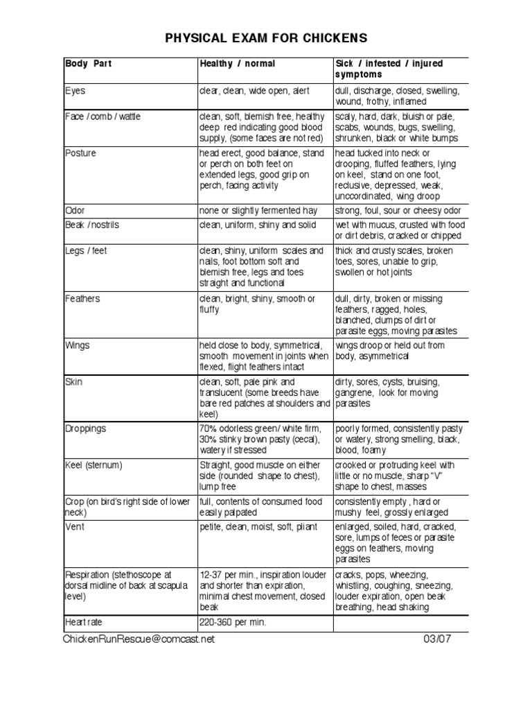 Chicken Physical Exam | PDF | Thorax | Nature