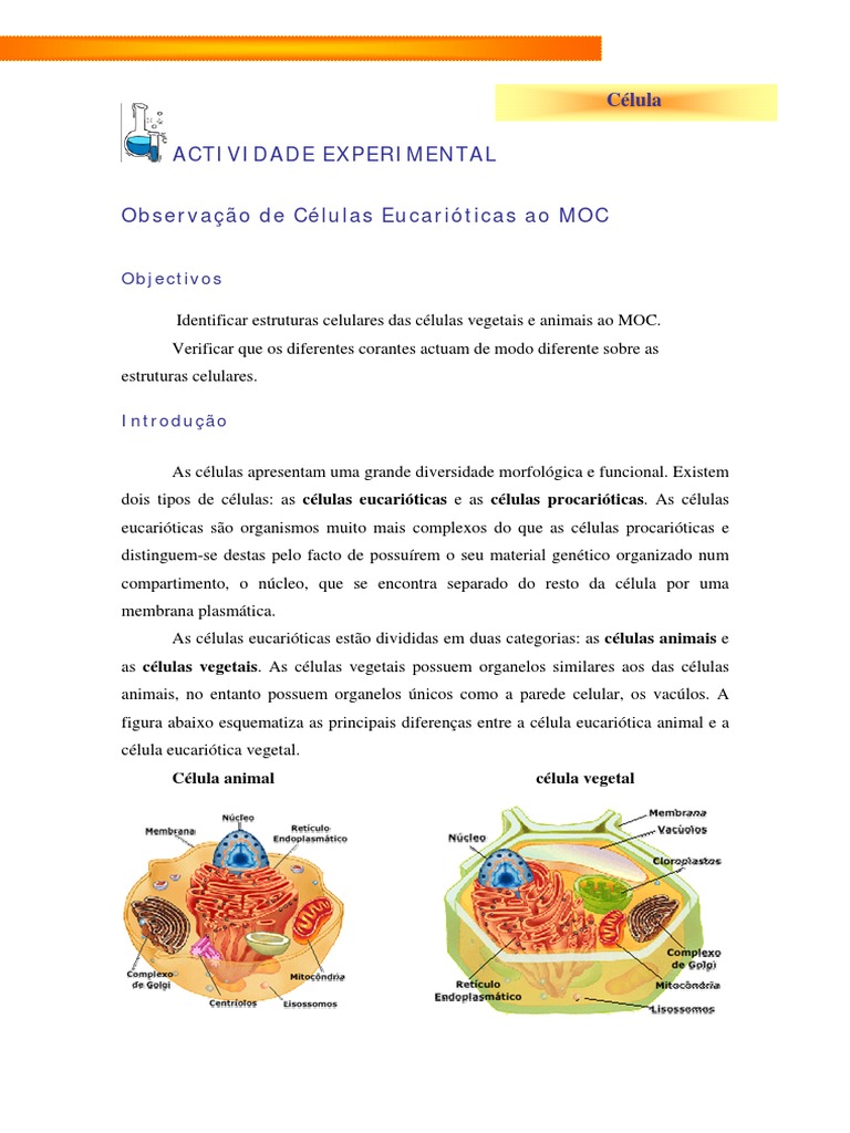 Actvidade Exper 1 .Professor | PDF | Bem-estar