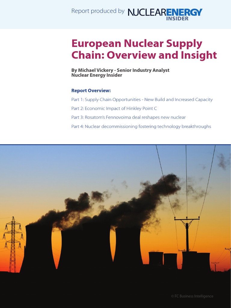 European Nuclear Supply Chain | Download Free PDF | Nuclear Power ...