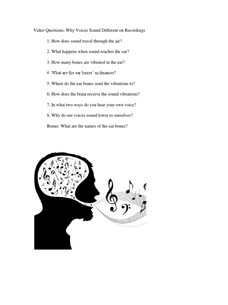 Voice Recording Video Questions | PDF