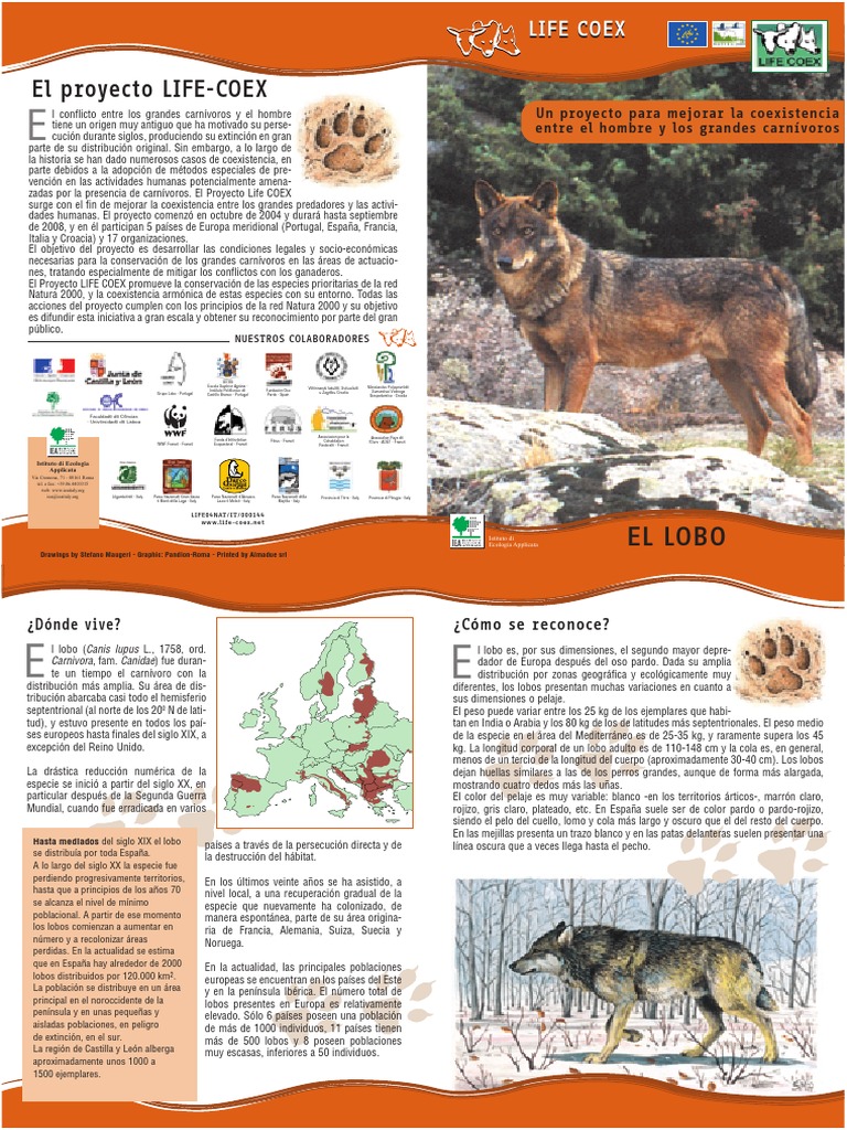 Folleto El lobo.pdf | Lobo gris | Europa